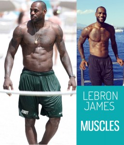 Lebron James taille poids muscles basketeur morphologie | Physique de ...
